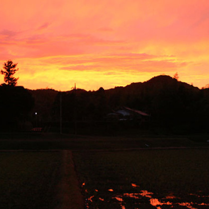 房総サンセット | YLA-TECH